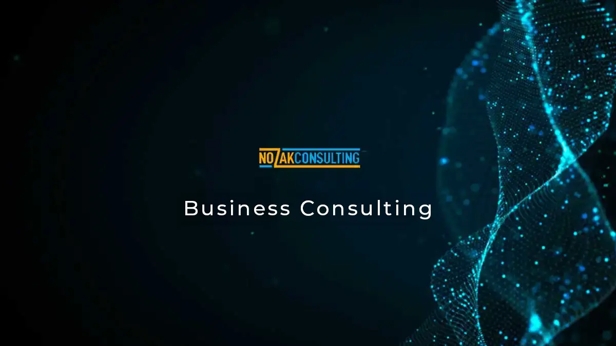 Business Consulting Services from William Nozak